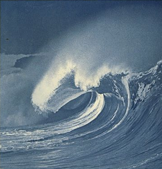 Home | SLUDGE PEOPLE